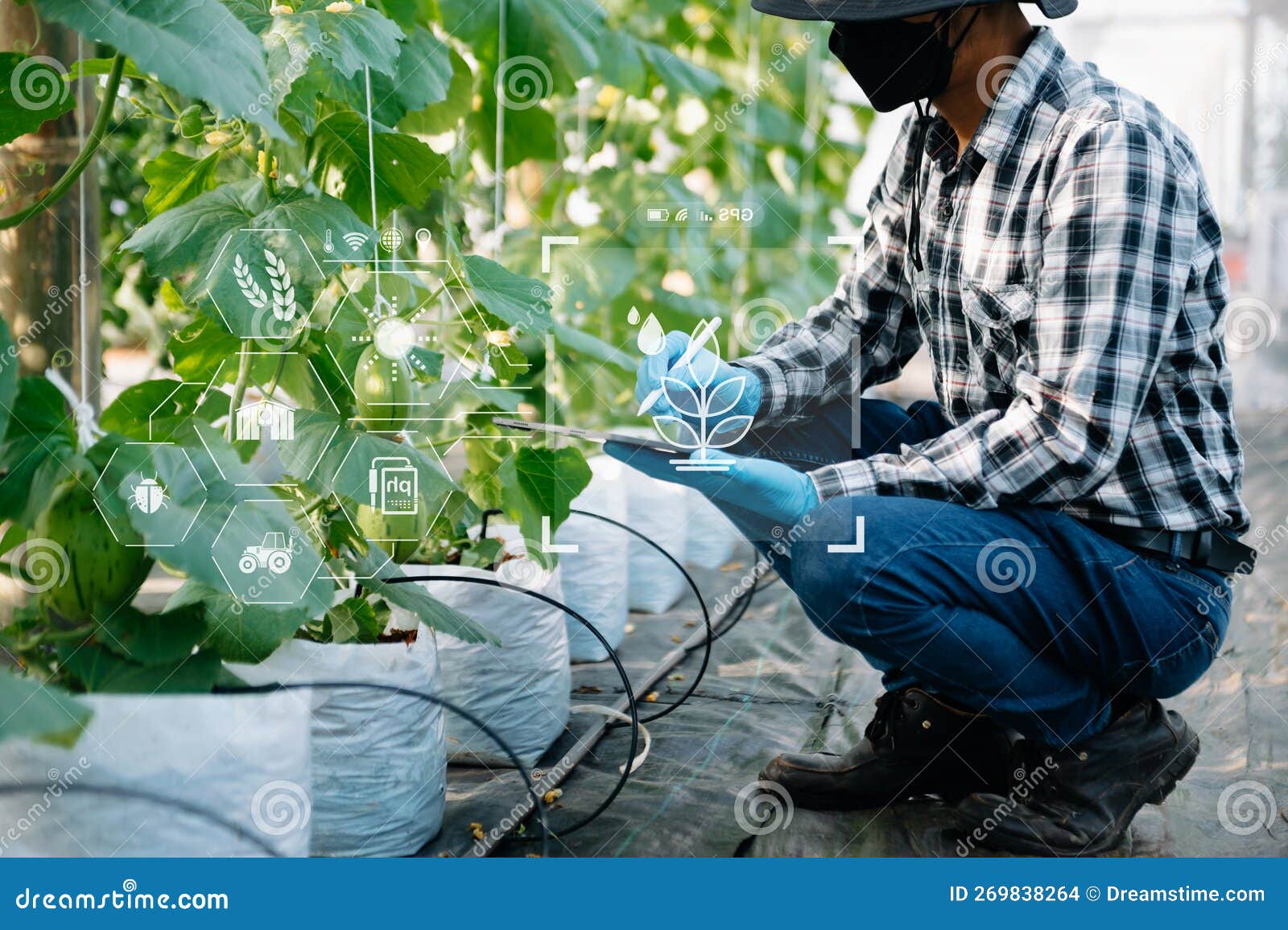 Smart Farmer Using Application by Tablet Concepts Modern Vegetables and ...