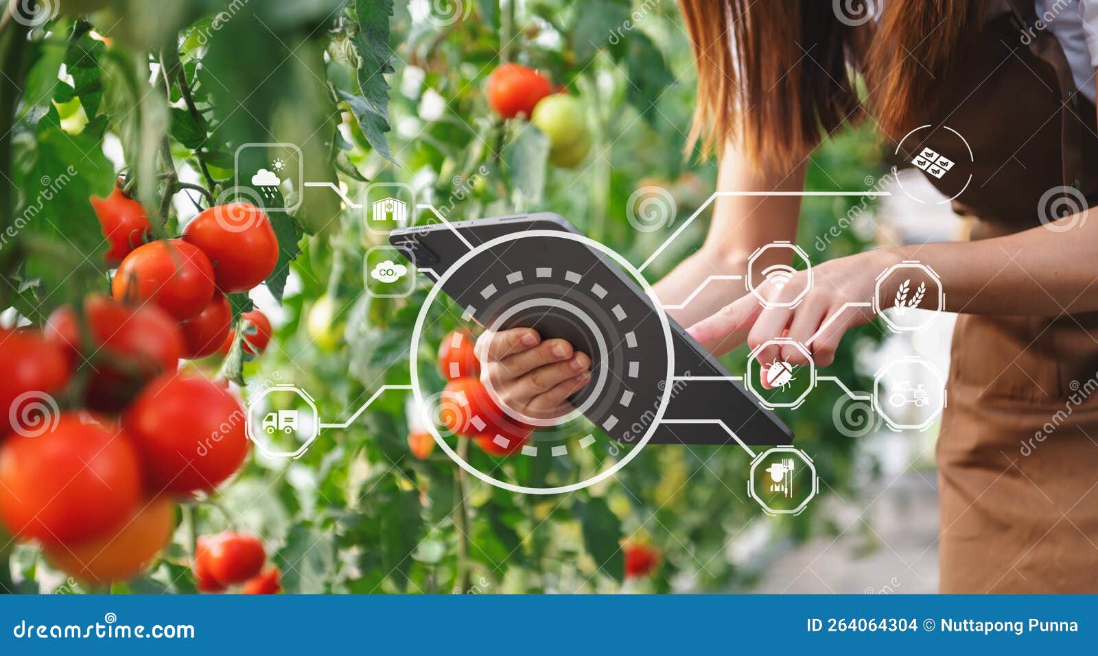 Smart Farmer Using Application by Tablet Concepts Modern Vegetables and ...