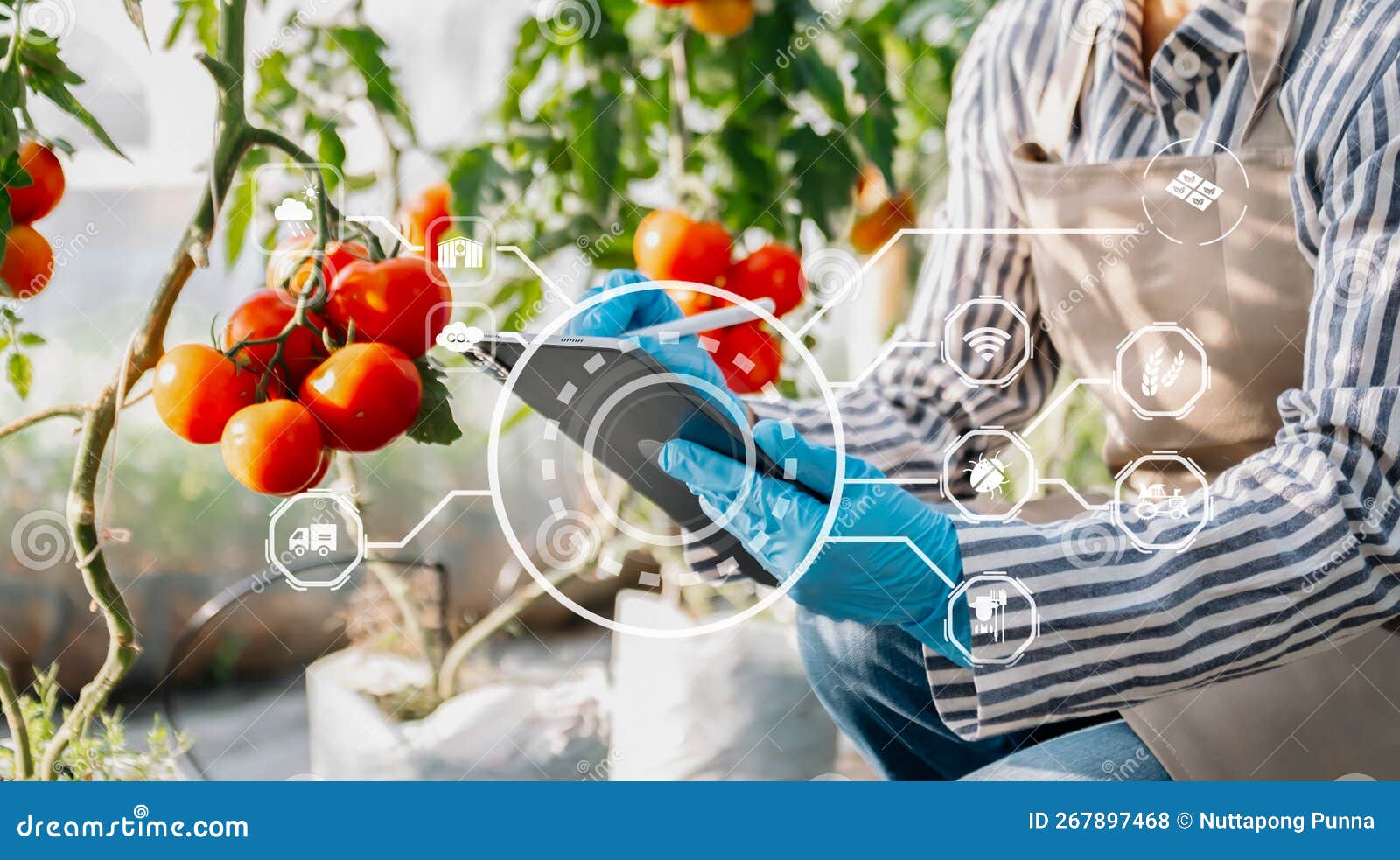 Smart Farmer Using Application by Tablet Concepts Modern Vegetables and ...