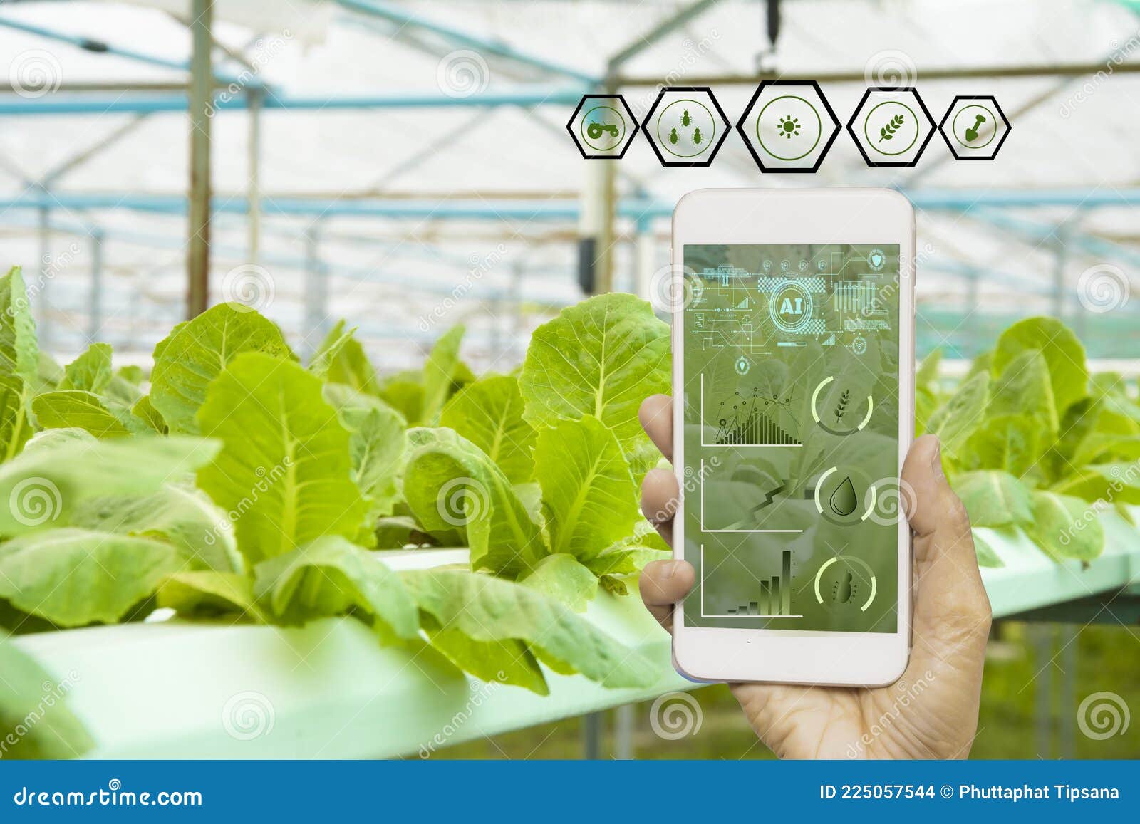 Smart Farmer Using Smartphone,farm Background,concept Agriculture ...