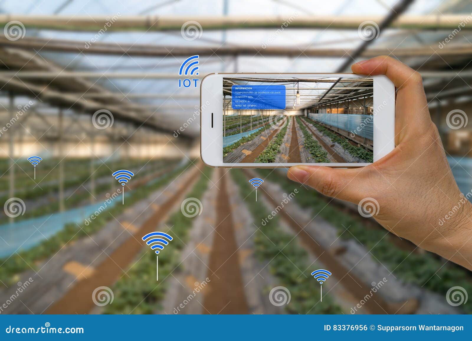 Smart Farming Agriculture Concept Using Internet of Things, IOT, and ...