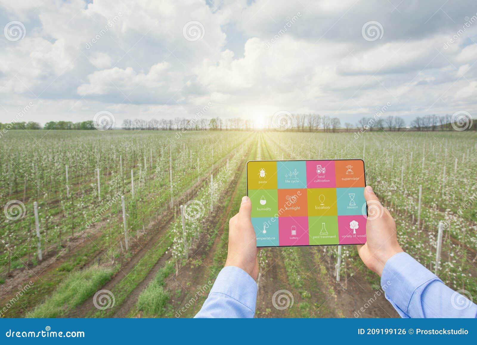 Smart Farming and Agritech. Farmer Using Tablet Computer App for ...