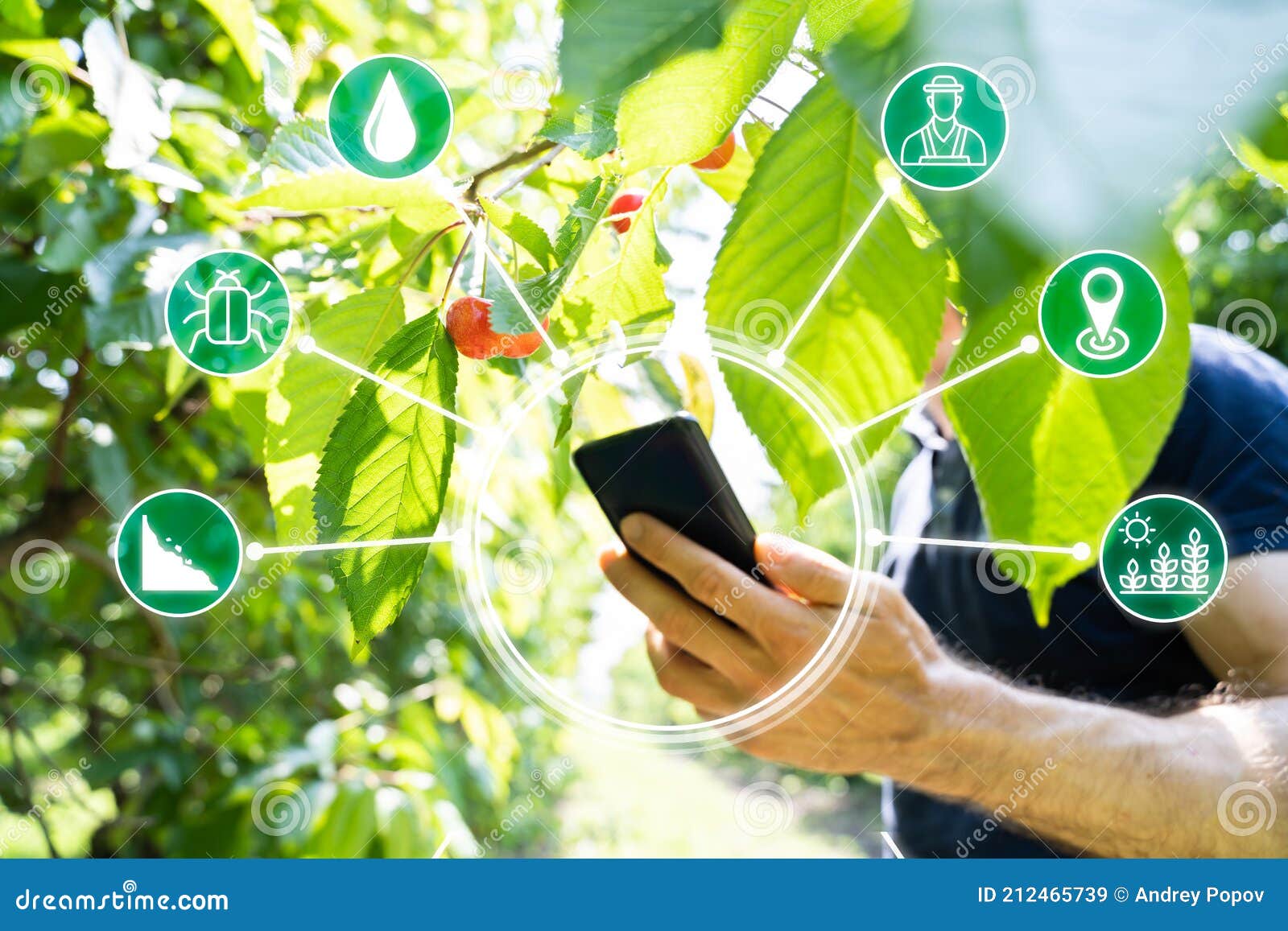 Smart Farming Digital Technology Agriculture App Stock Image - Image of ...