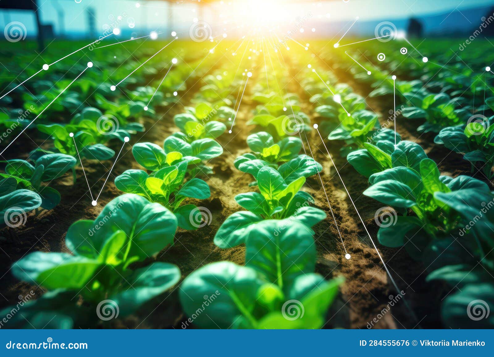 Smart Farming with 5G: Advancing Agricultural Techniques Stock ...