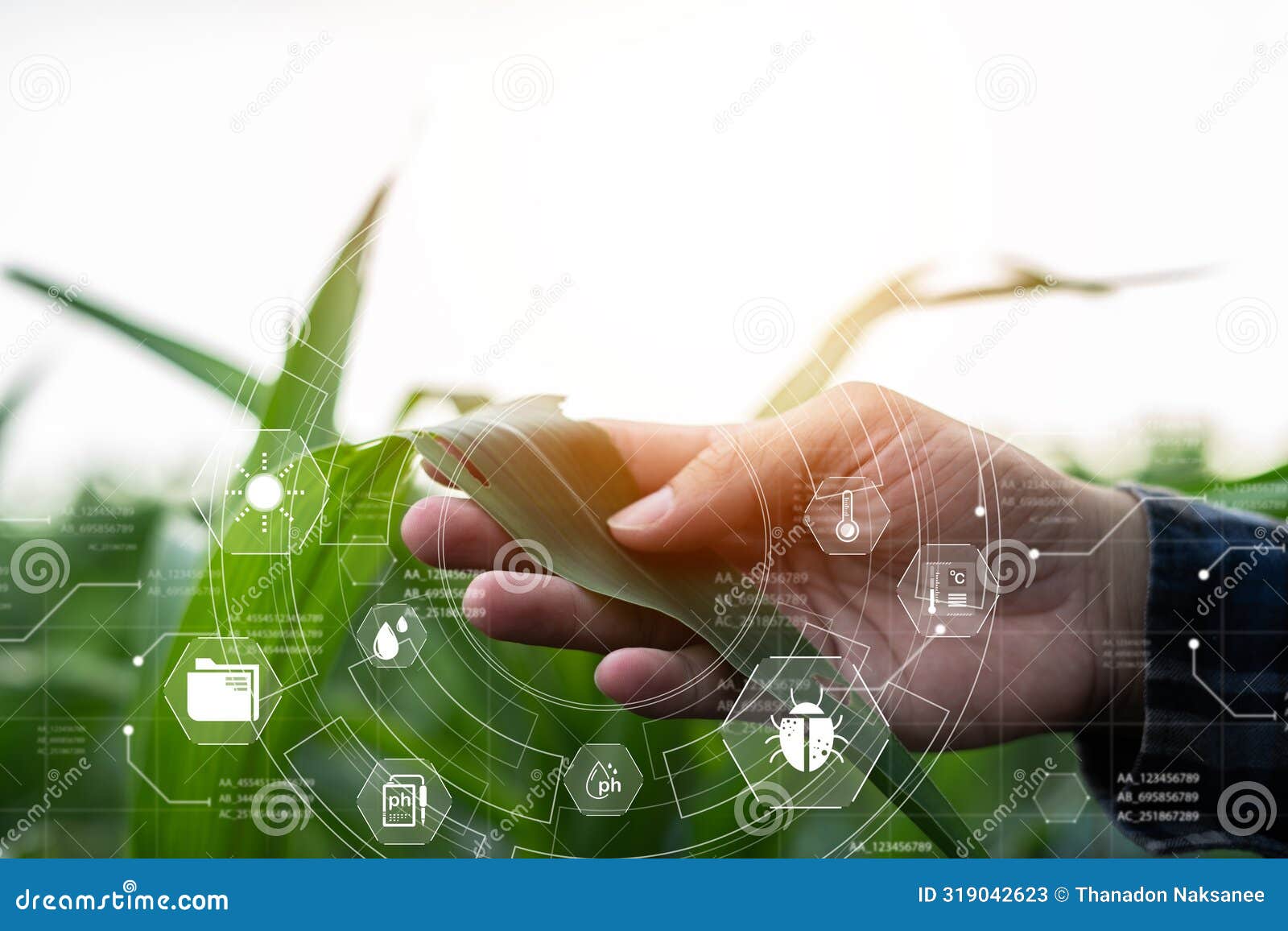 Smart Farming with IoT Growing Corn Seedlings with Infographics Smart ...