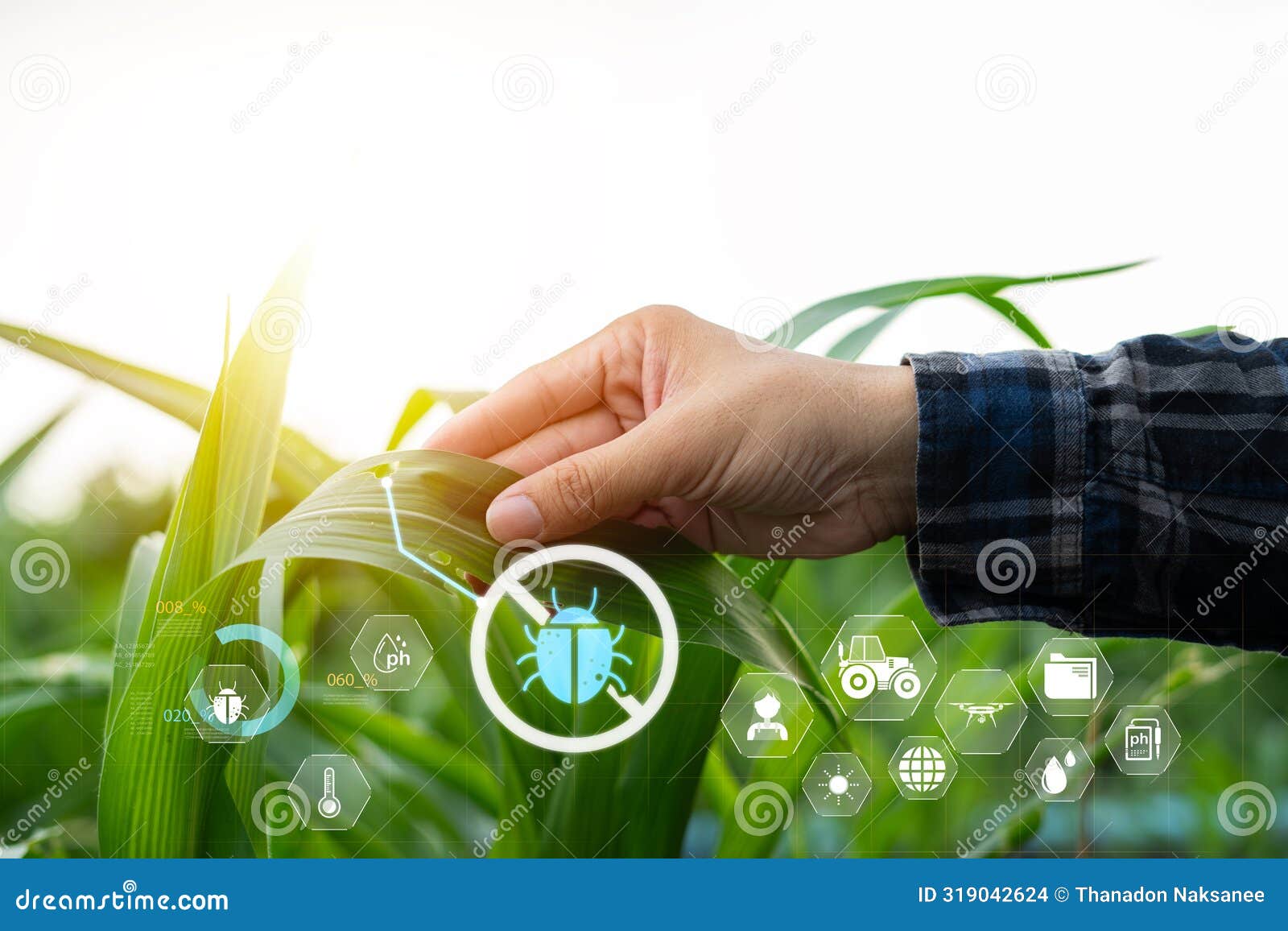 Smart Farming with IoT Growing Corn Seedlings with Infographics Smart ...