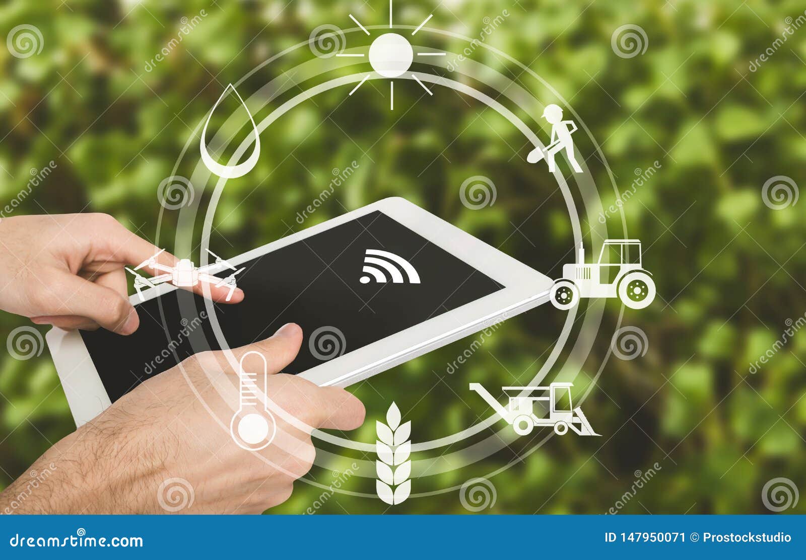 Smart Farming, Man with Digital Tablet in Field Stock Image - Image of ...