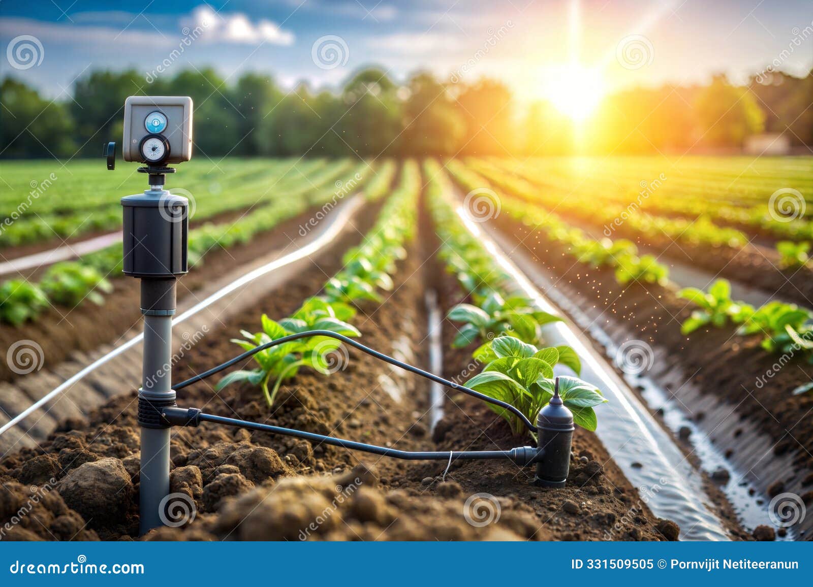 Precision Irrigation System at Sunset Stock Image - Image of management ...