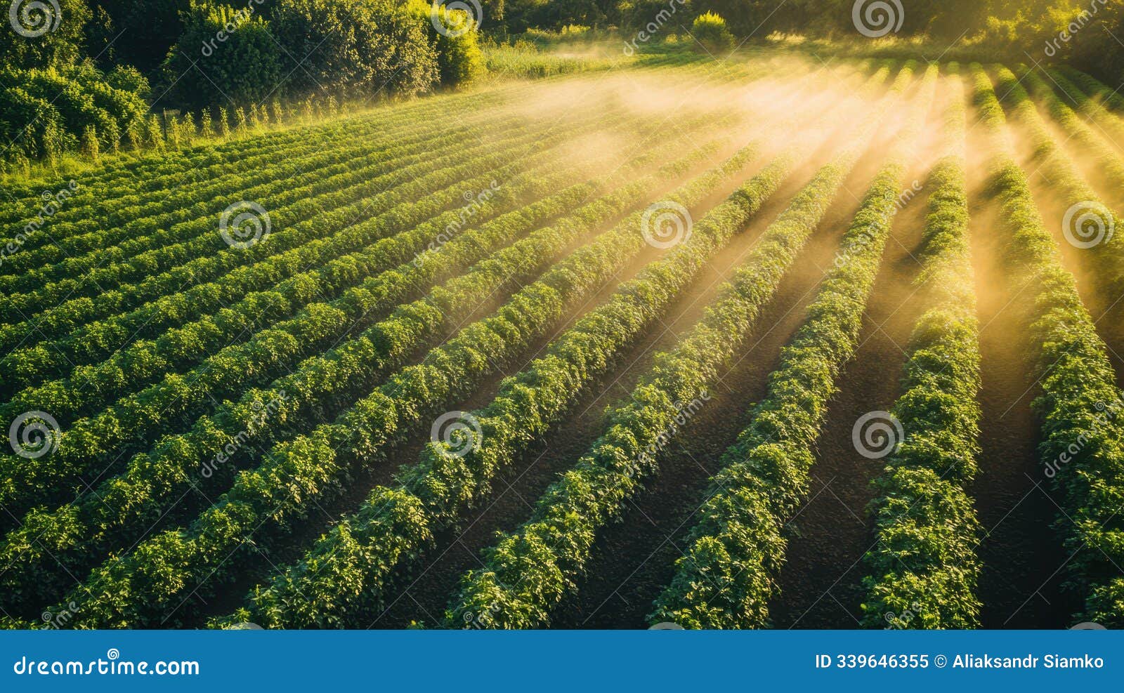 Smart Farming Technology Using AI-powered Drones and Automated ... Smart Farming Technology Using AI-powered Drones and Automated ...