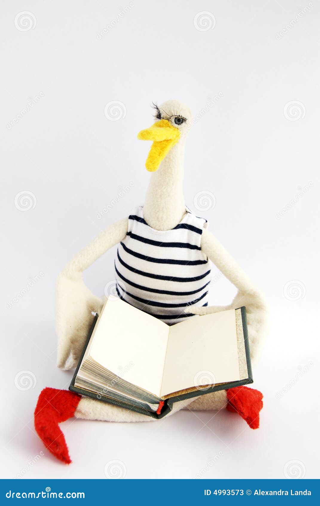 Goose Reads Stock Photos - Free & Royalty-Free Stock Photos from Dreamstime