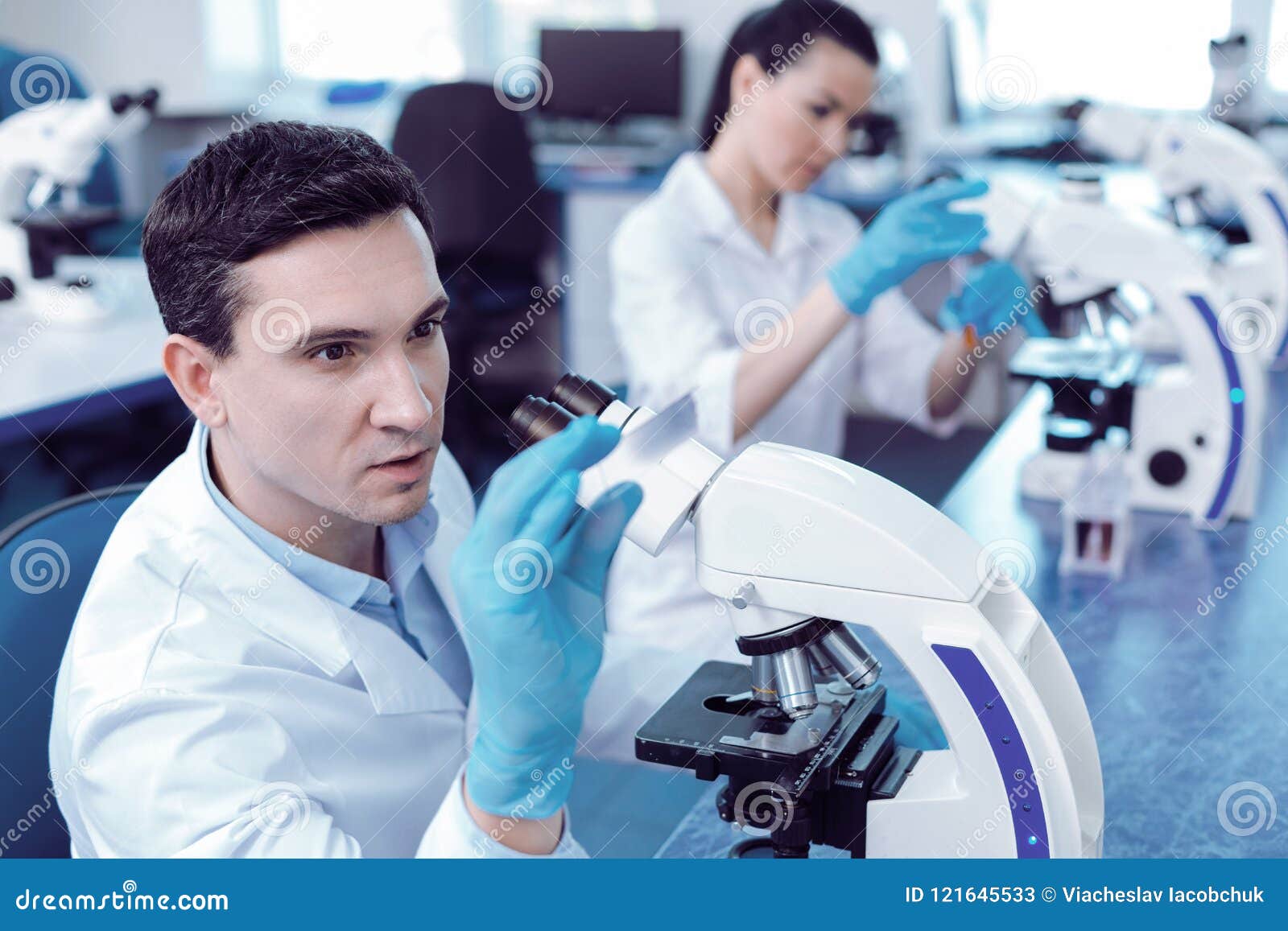 Smart Handsome Biologist Working in the Lab Stock Image - Image of ...