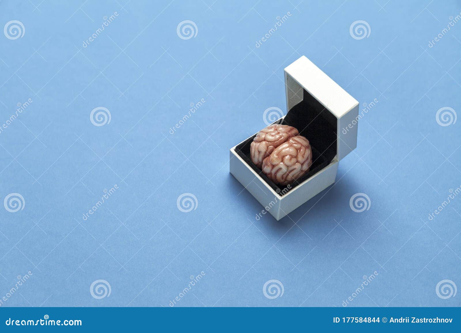 Smart Human Brain in Box is Isolated on Blue Background As Gift To Dumb ...