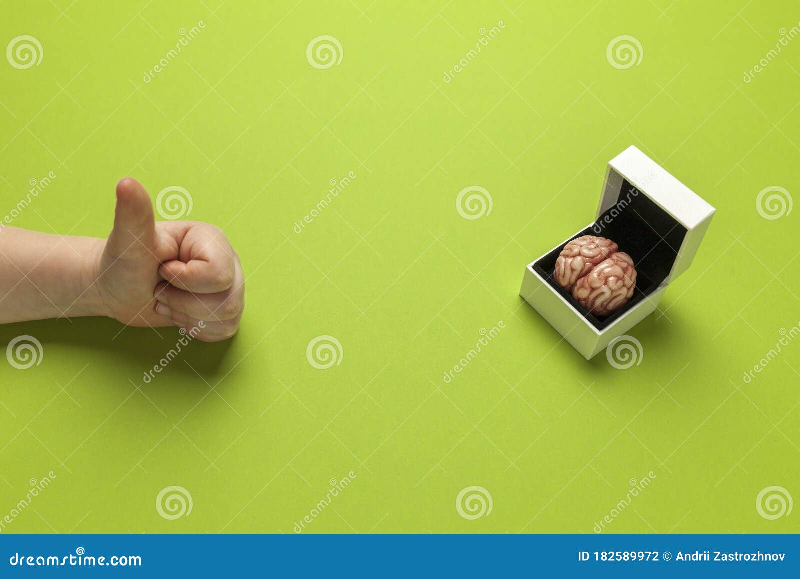 Smart Human Brain in Box is Isolated on Green Background As Gift To ...