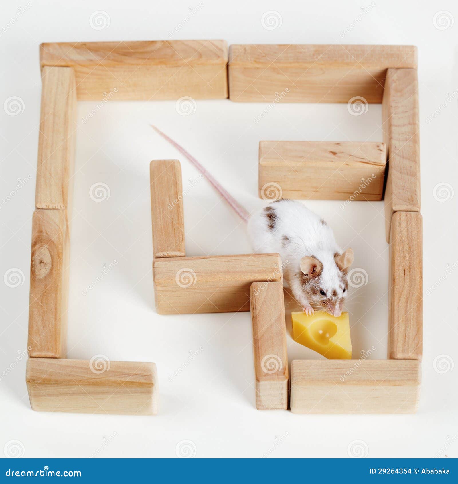 Mouse Maze Stock Photo | CartoonDealer.com #62111292