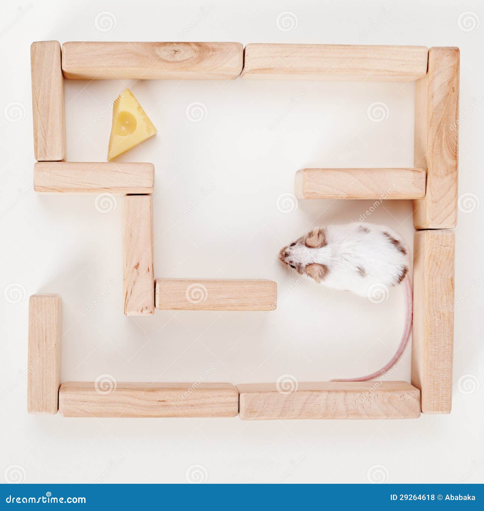 Mouse Maze Stock Photo | CartoonDealer.com #62111292