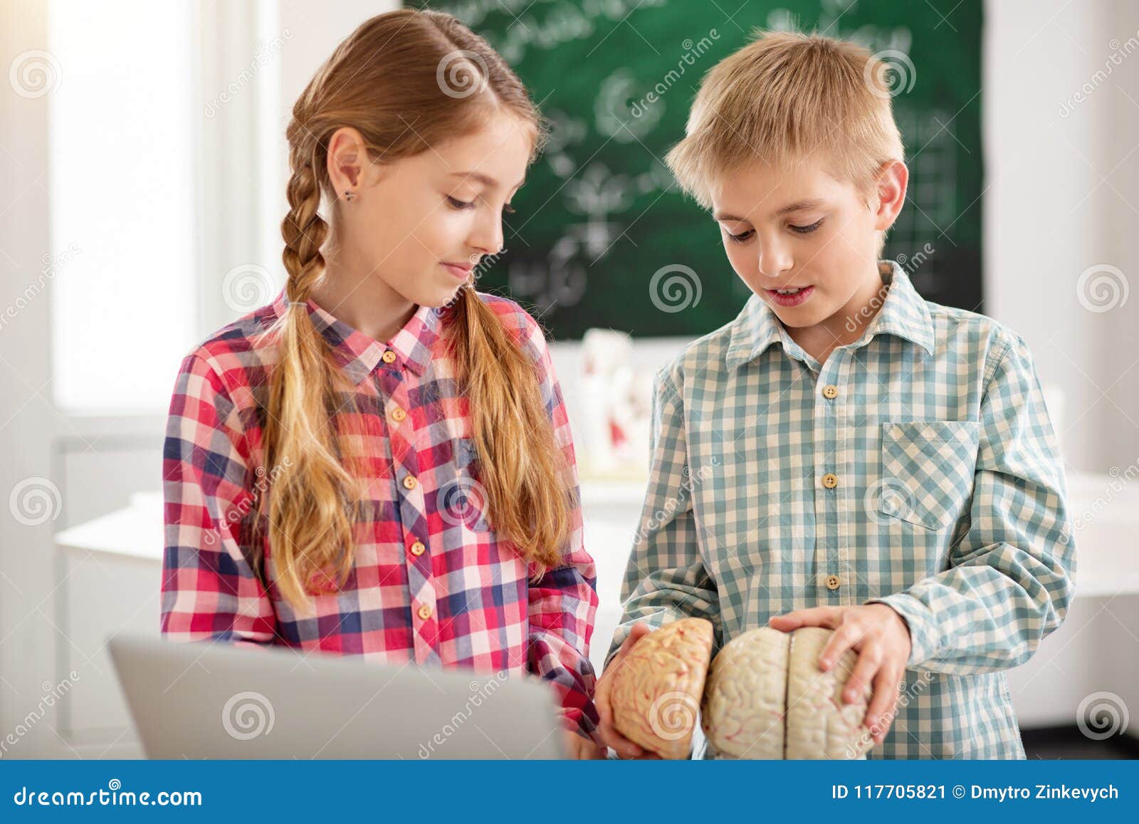 Smart Nice Kids Looking at the Human Brain Stock Image - Image of ...