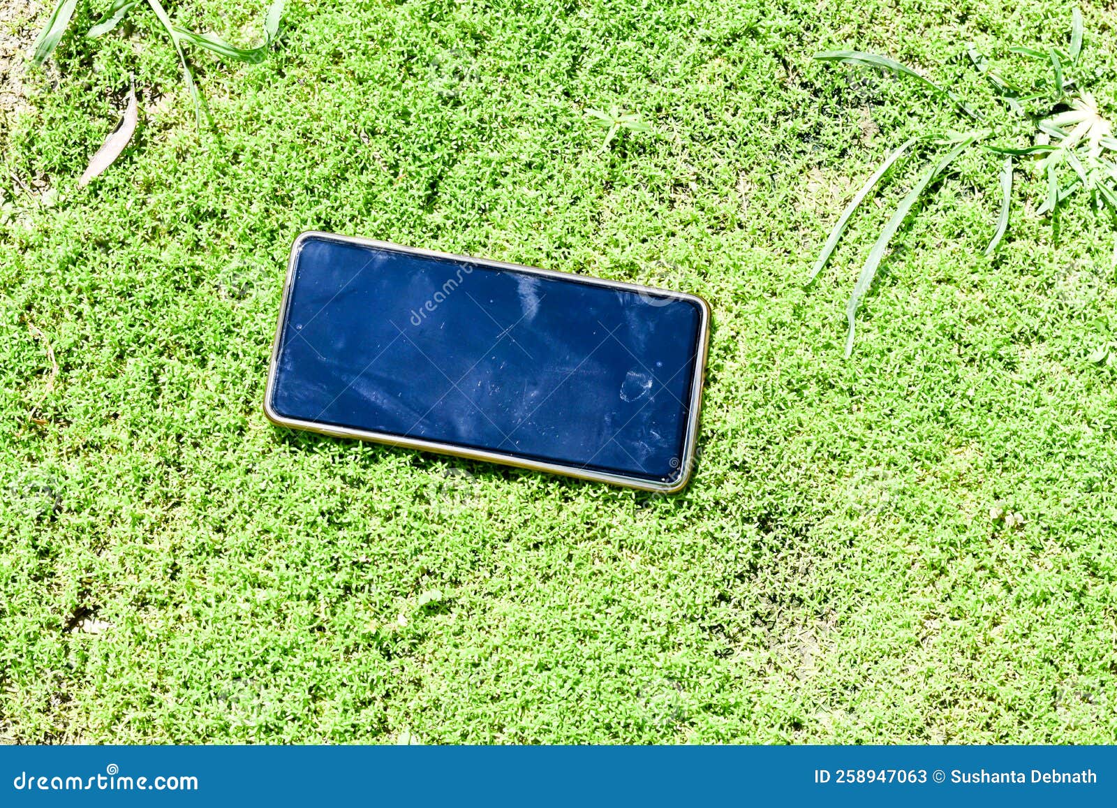 Smart Phone in a Green Natural Surface. SmartPhone in Green Grass Stock ...
