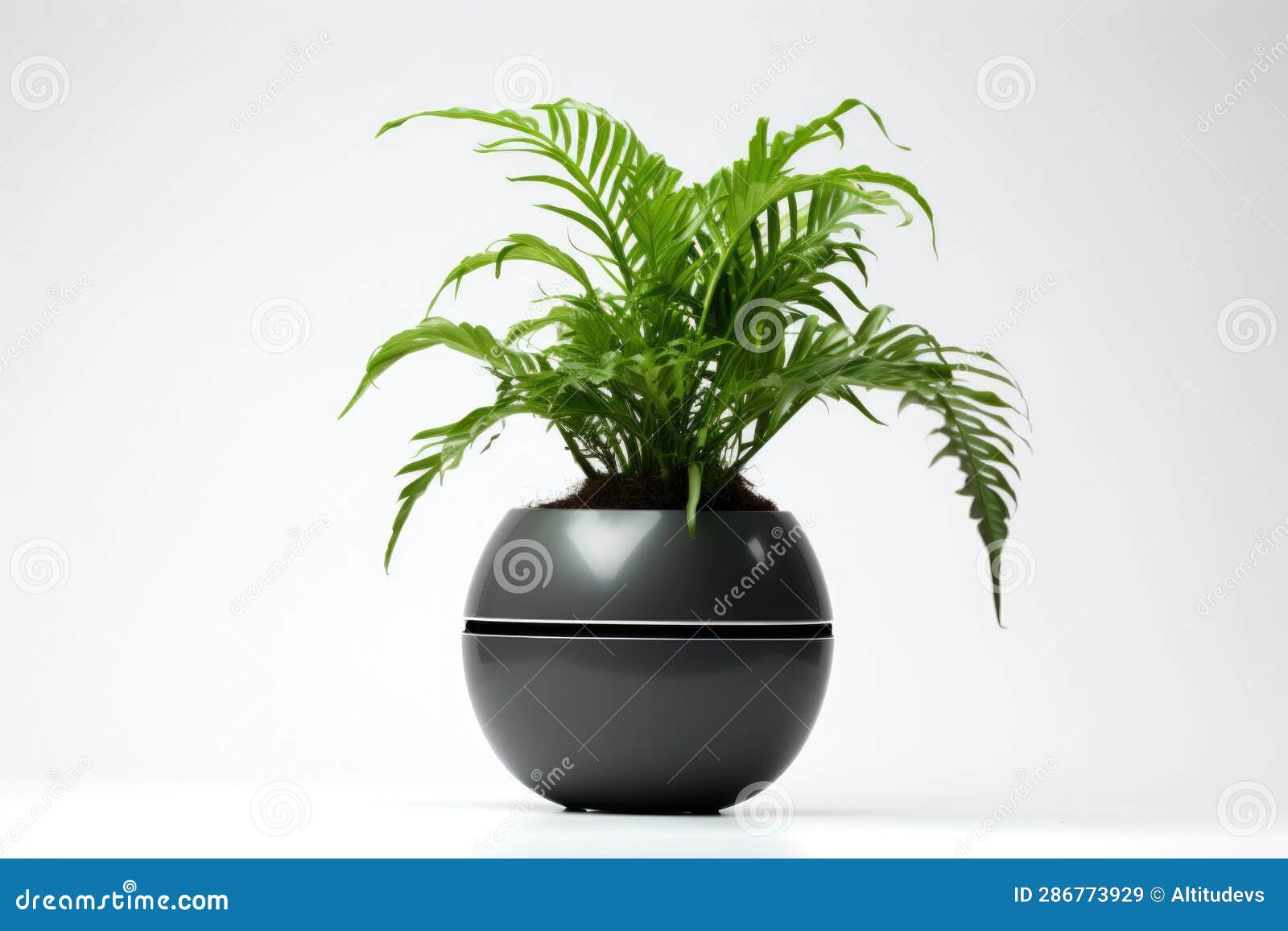 Smart Pot Connected To a Smartphone App, Displaying Data Stock Image ...