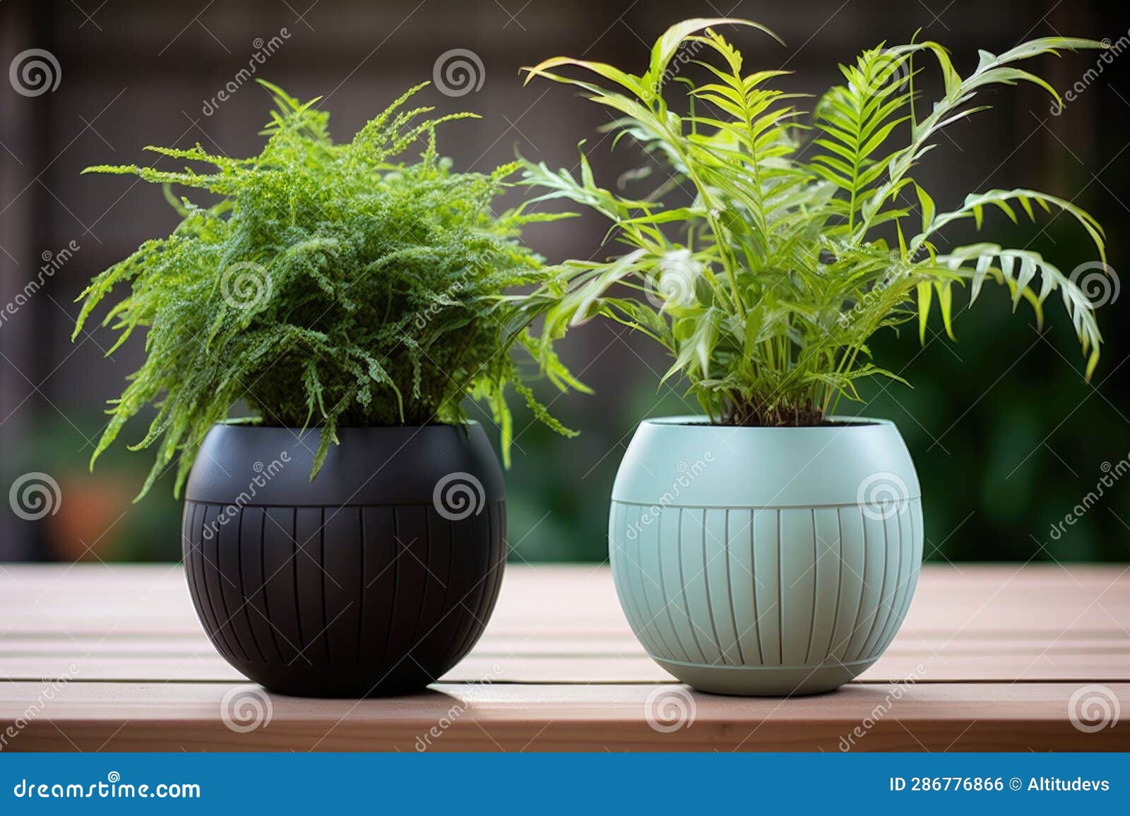 A Smart Pot with Healthy Plant Growth, Contrasting a Regular Pot Stock ...