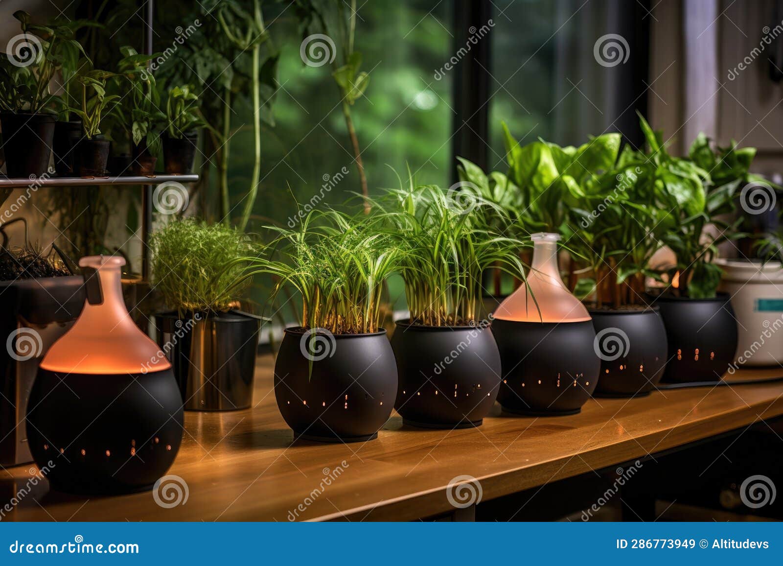 Smart Pots Watering System in Action, with Droplets Stock Image - Image ...
