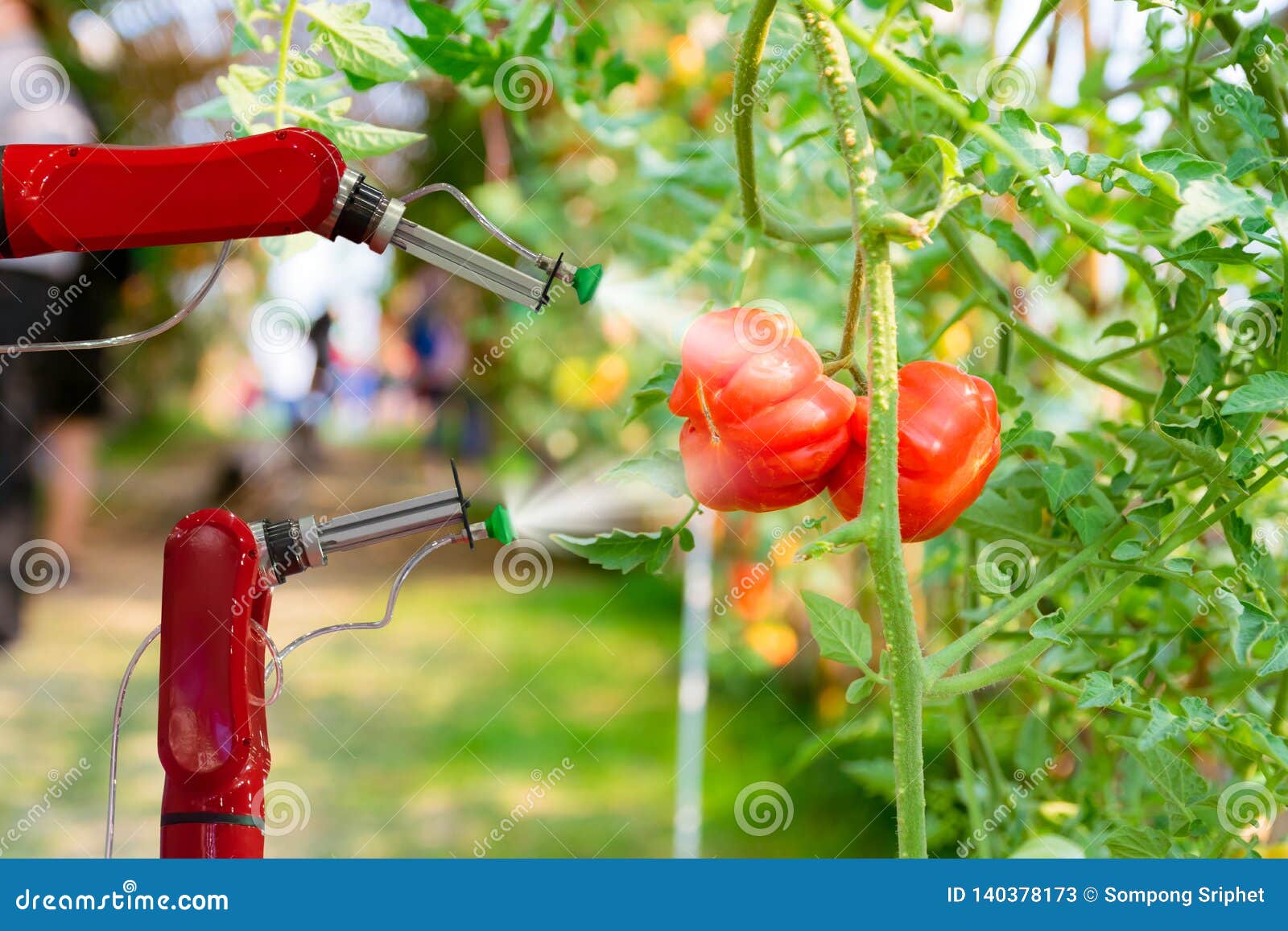 Farmers Use Futuristic Tablet To Inspect Robotic Arm Harvest Produce ... Farmers Use Futuristic Tablet To Inspect Robotic Arm Harvest Produce ...