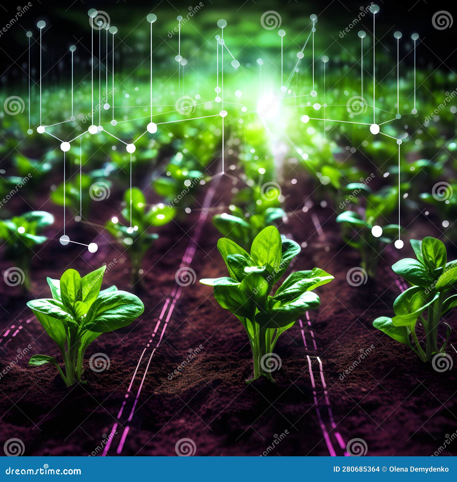 Smart Technologies in Agriculture. Selective Focus, Blur. Drip ...