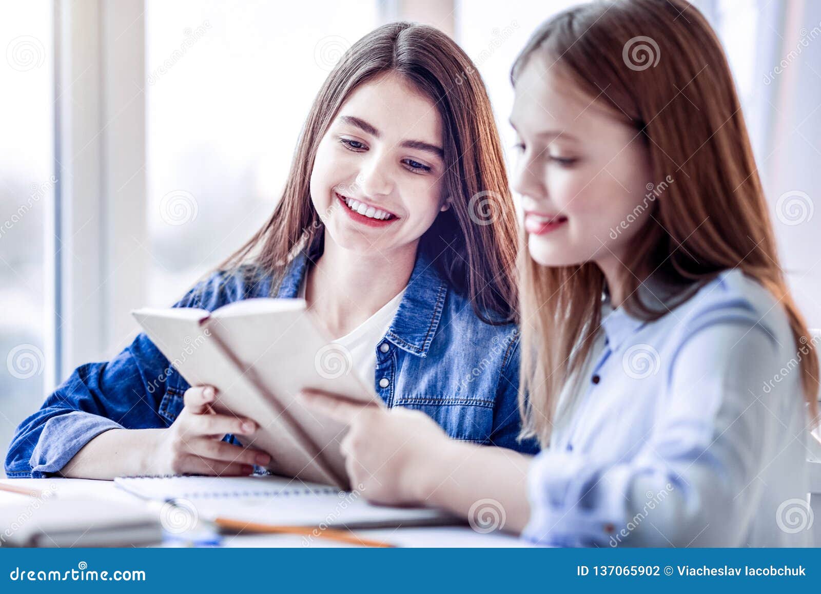 Smart Two Girls Comprehending Task for Class Stock Photo - Image of ...