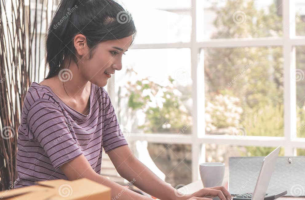 Smart Woman Working at Home with Computer Stock Photo - Image of smart ...