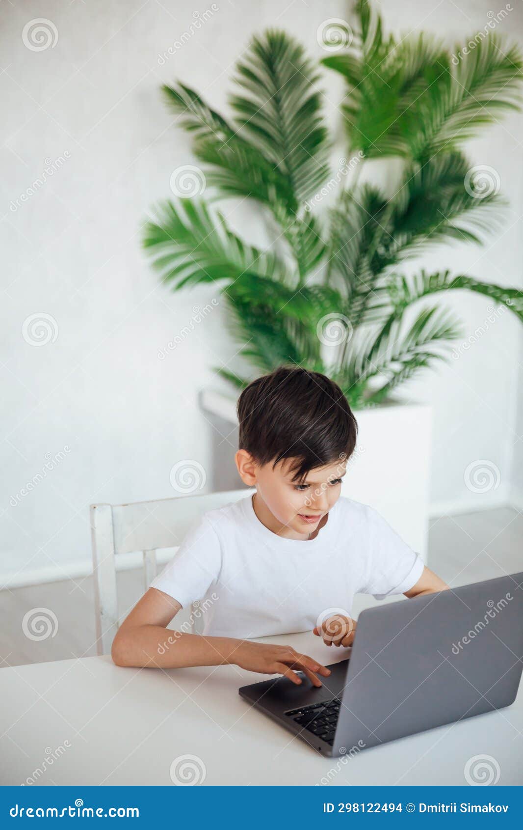 Smart Young Boy Works on a Laptop for His New Project in His Computer ...