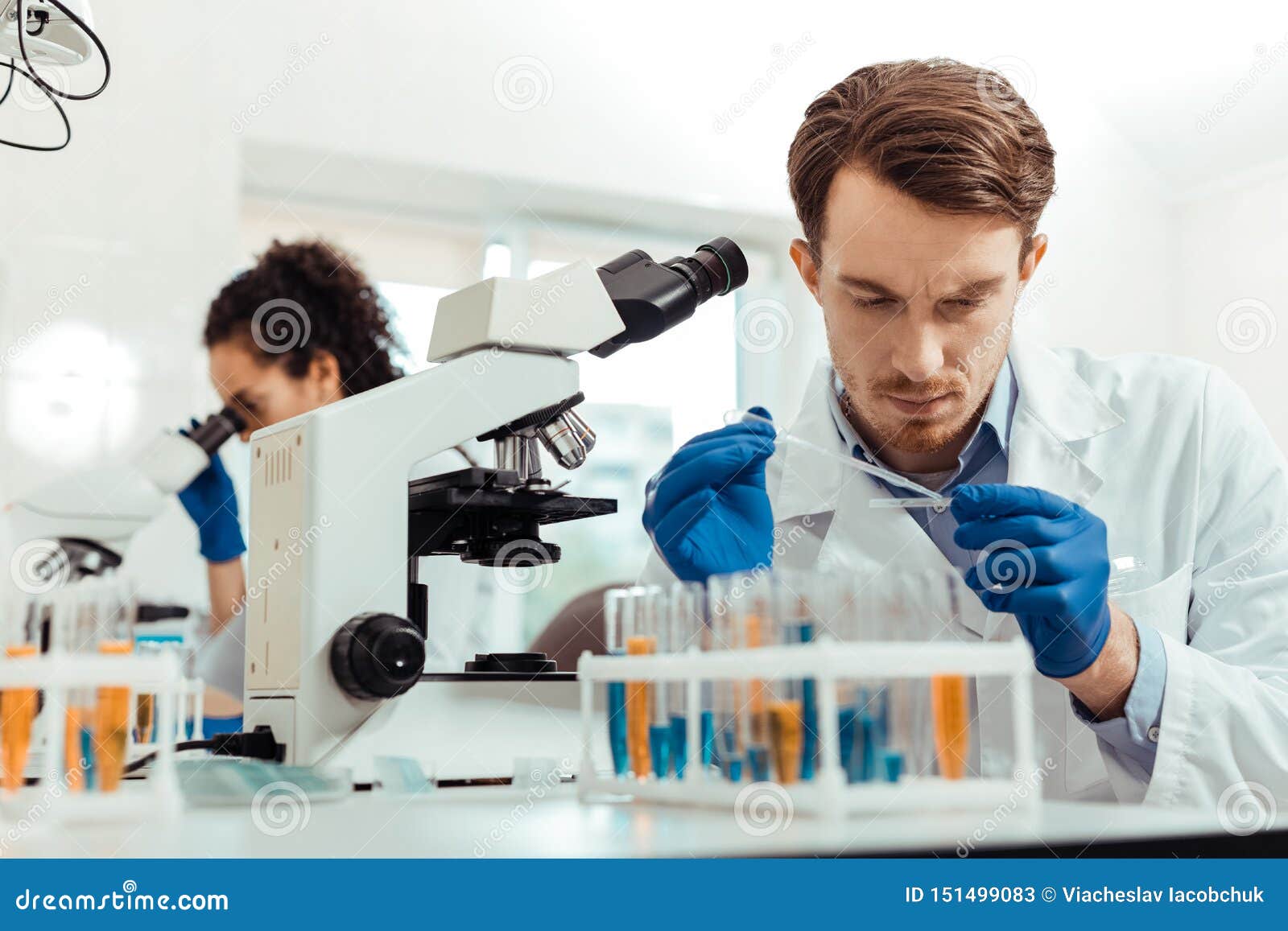 Smart Young Man Working As a Biologist Stock Image - Image of premises ...
