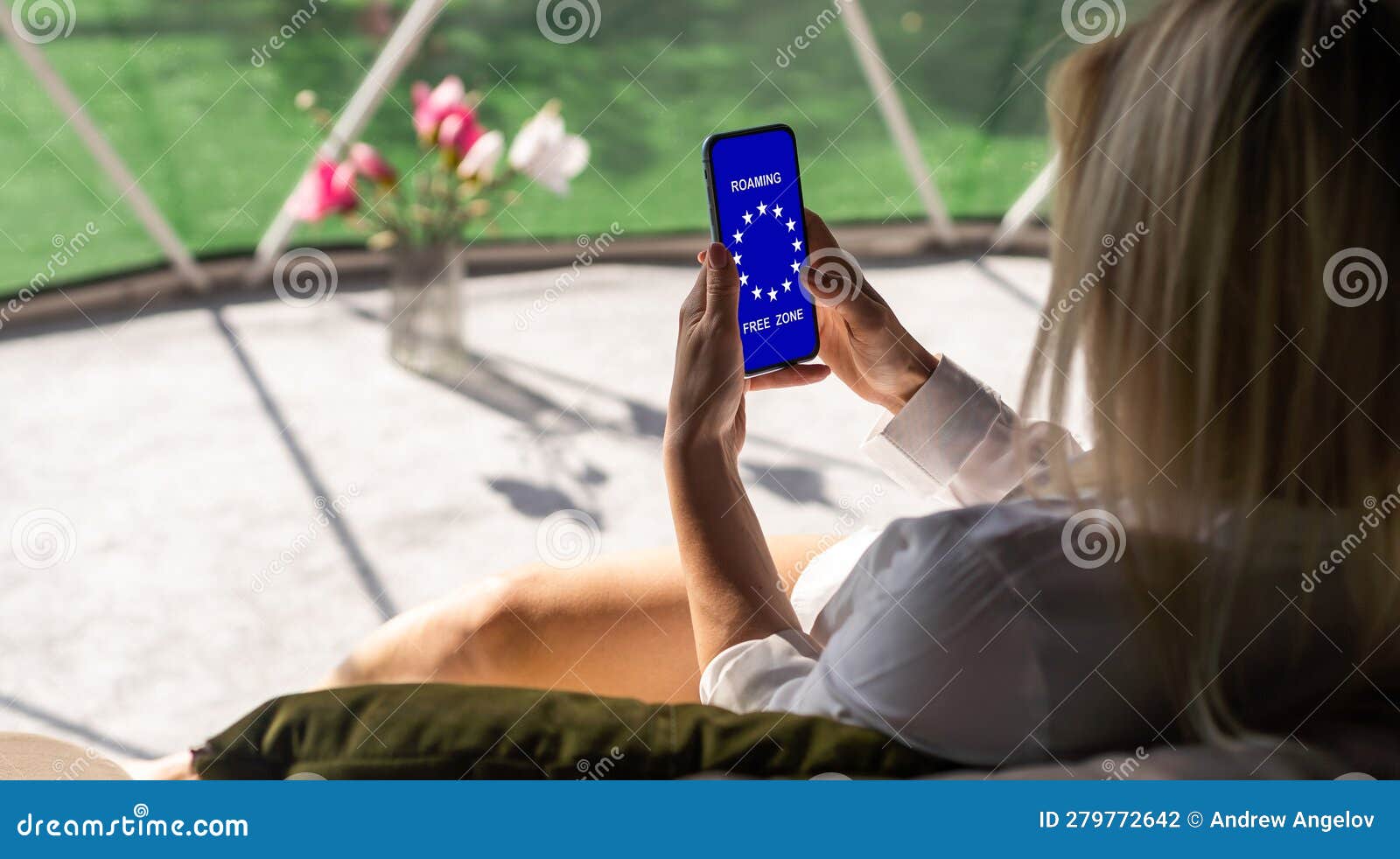 A Smartphone and Activating Roaming . All Screen Graphics are Made Up ...