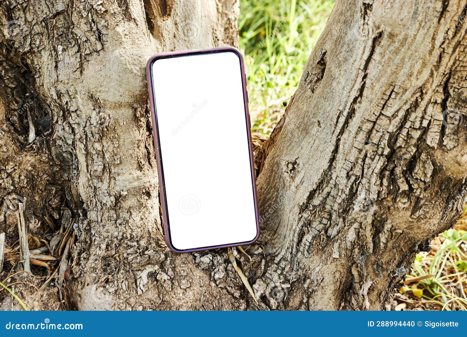 Smartphone. Blank Screen Mobile Phone for Graphic Display Montage Stock ...