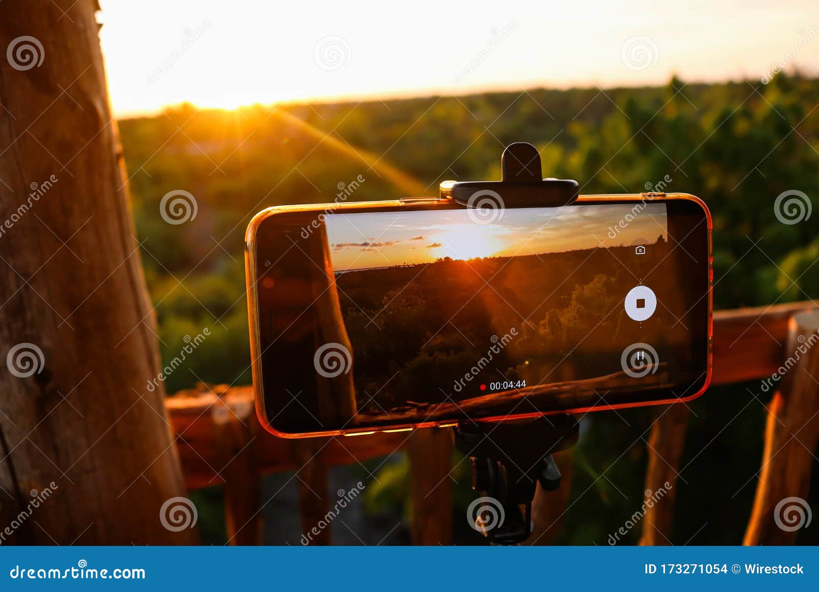 Smartphone Filming a Forest Under the Sunlight during the Sunset in the ...