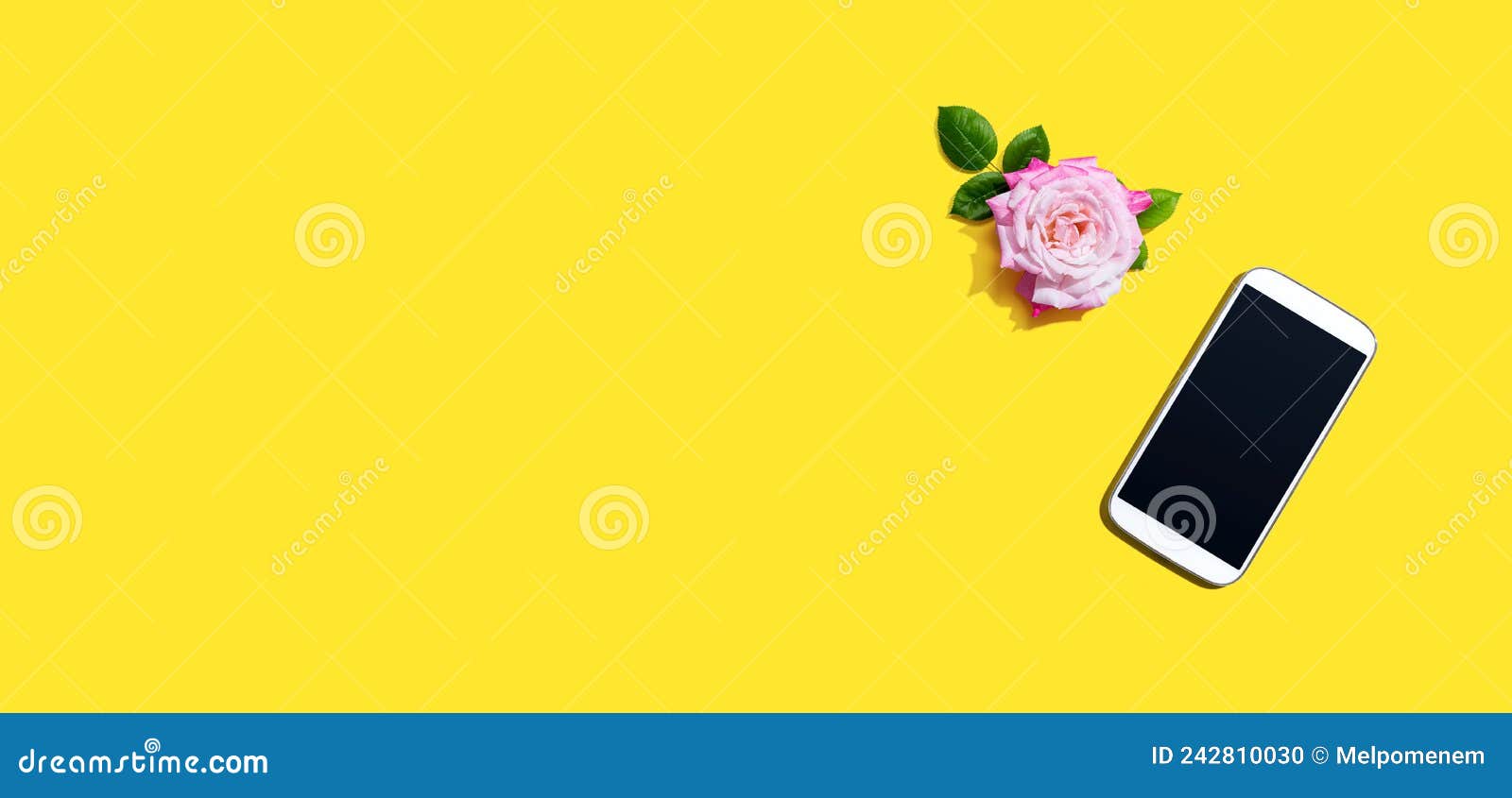 Smartphone with a Pink Rose Stock Photo - Image of flowers, happy ...