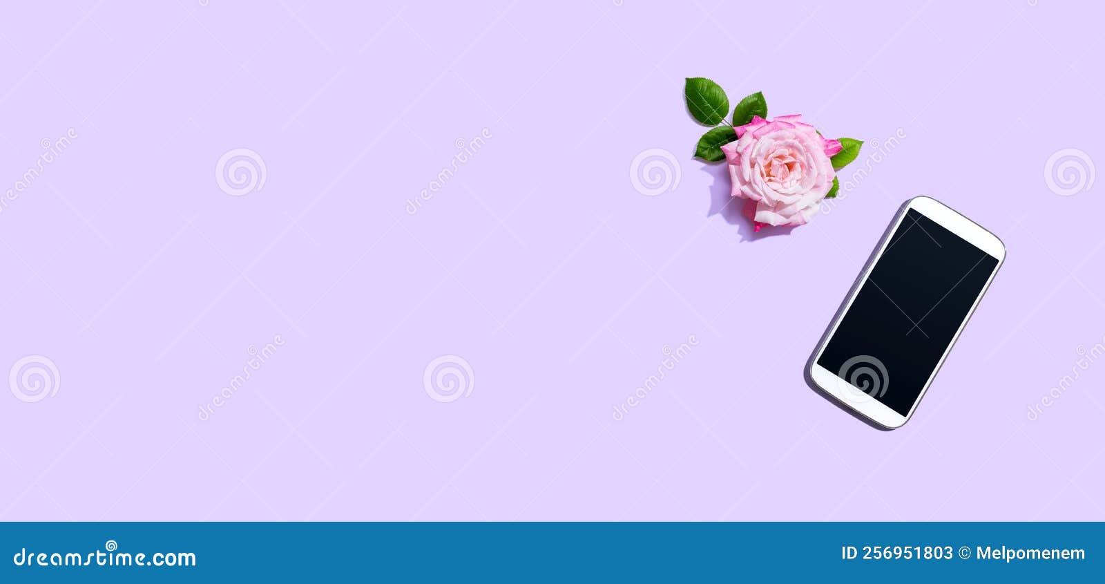 Smartphone with a Pink Rose Stock Image - Image of overhead, leaf ...