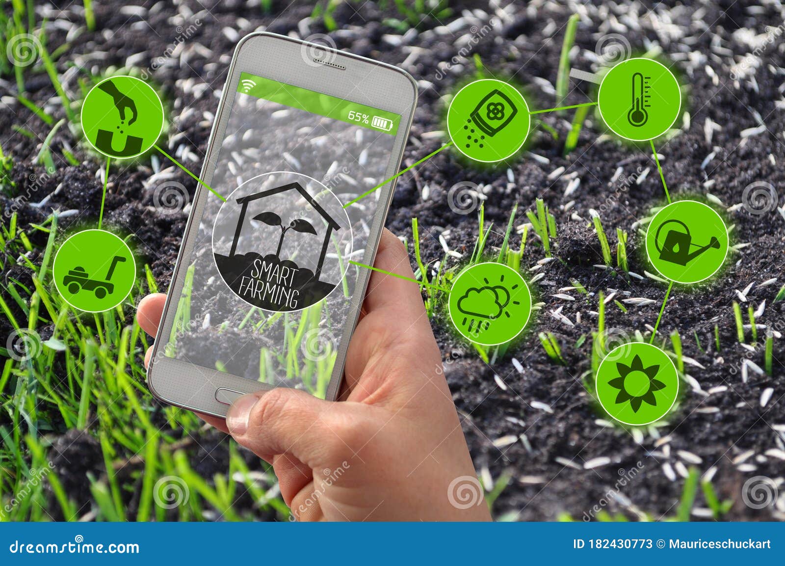 Smartphone with Smart Gardening and Smart Farming Apps with Grass Seeds ...
