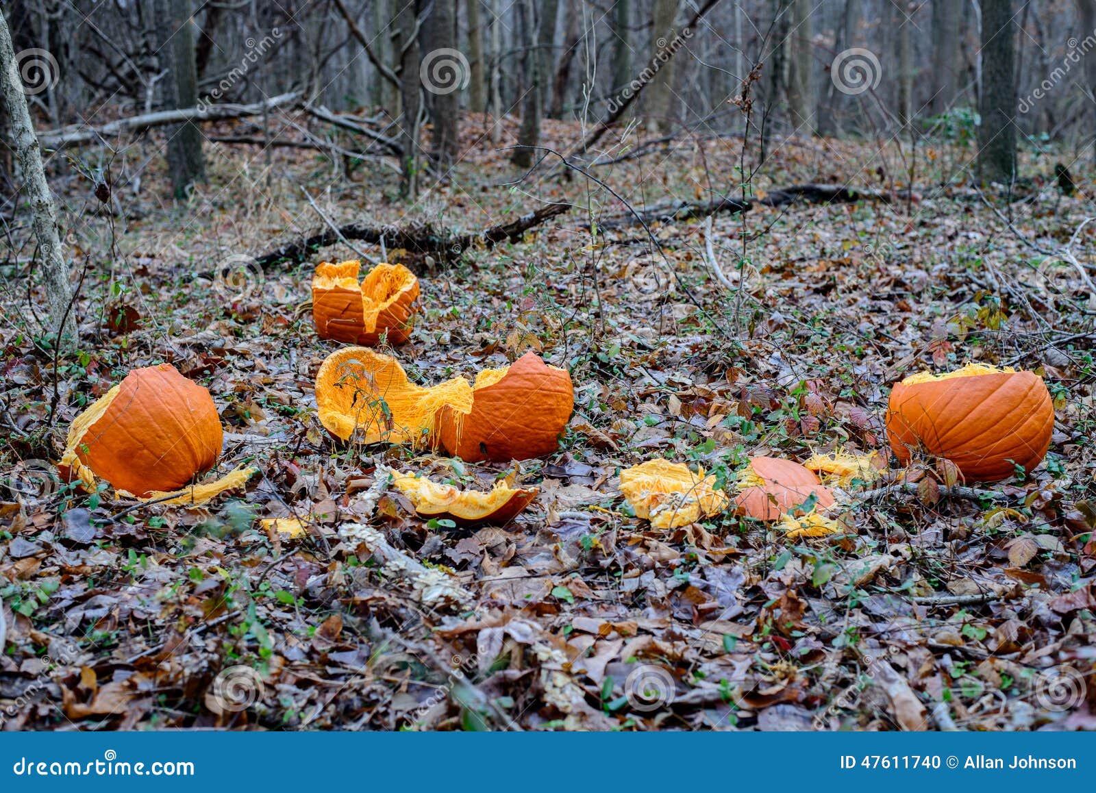 Smashed Pumpkins stock photo. Image of holidays, leaves - 47611740