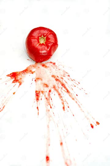 Smashed Tomato stock image. Image of diet, dropped, splattered - 11045165