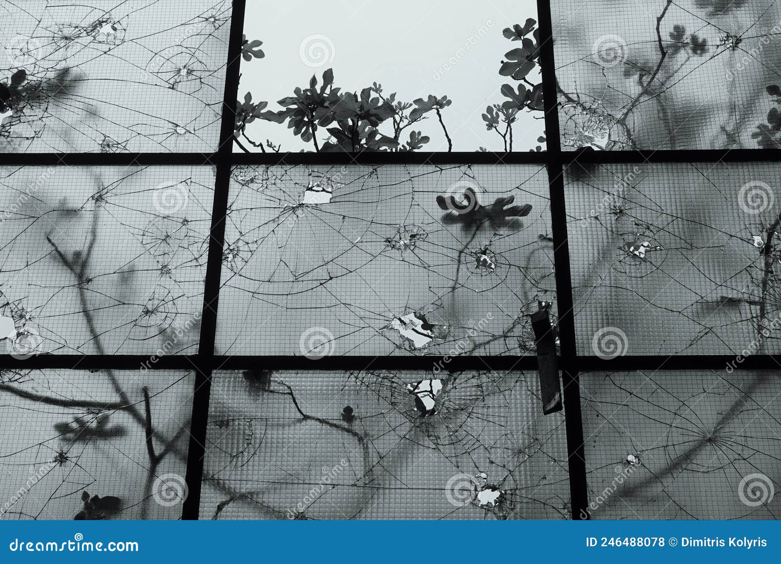 Smashed Windows Branches through Cracked Glass Stock Photo - Image of ...
