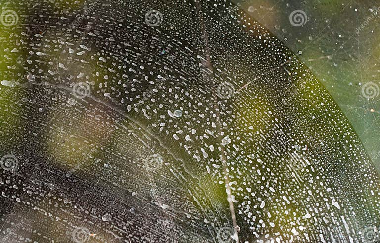 Smeared windshield stock image. Image of filth, dirt - 11454387