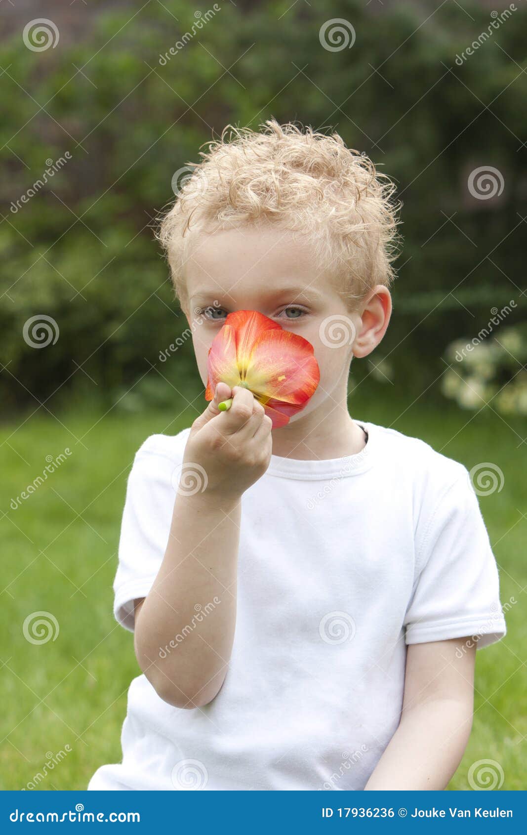 Smell stock photo. Image of caucasian, little, aroma - 17936236