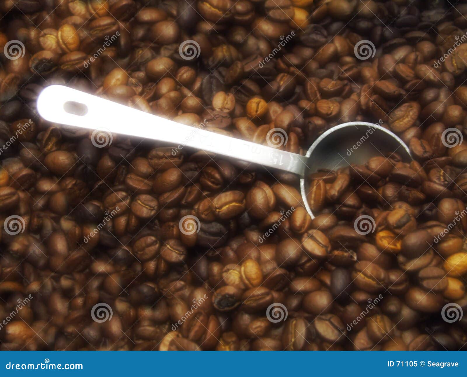 Smell the beans. stock image. Image of coffee, soft, drink - 71105