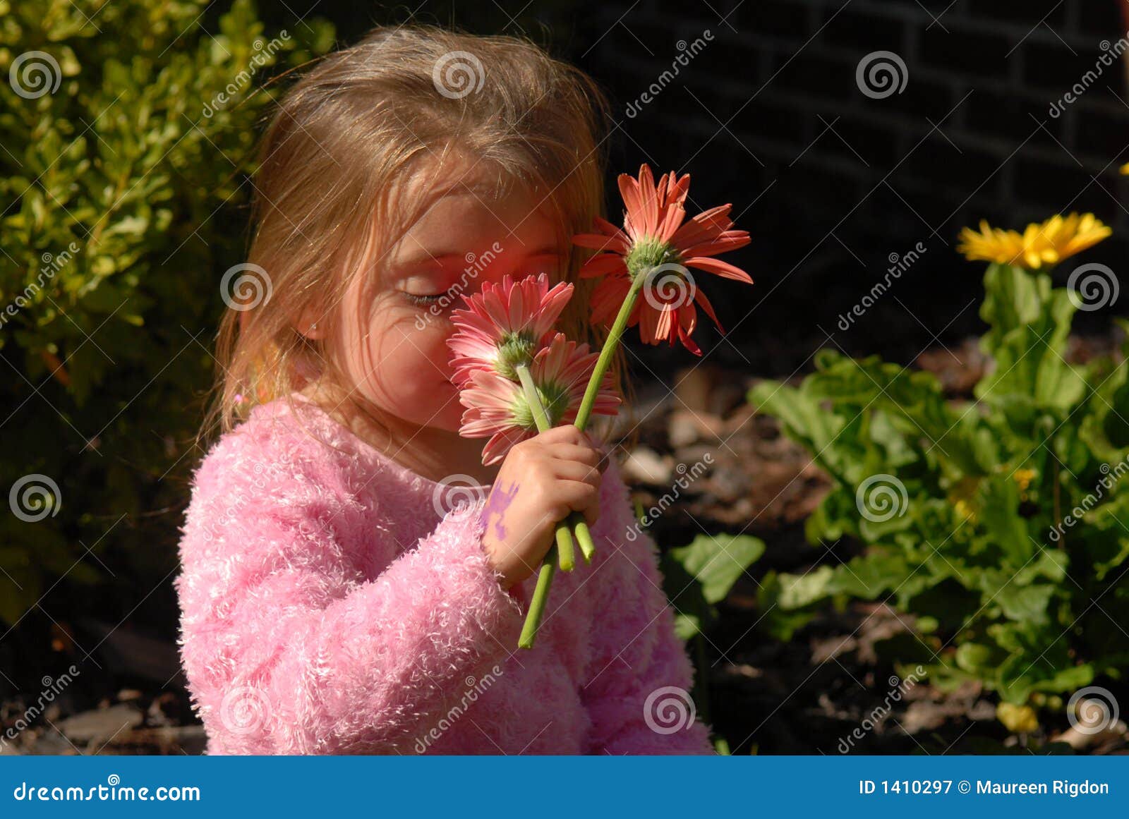 These Smell Good! stock image. Image of bouquet, fuzzy - 1410297