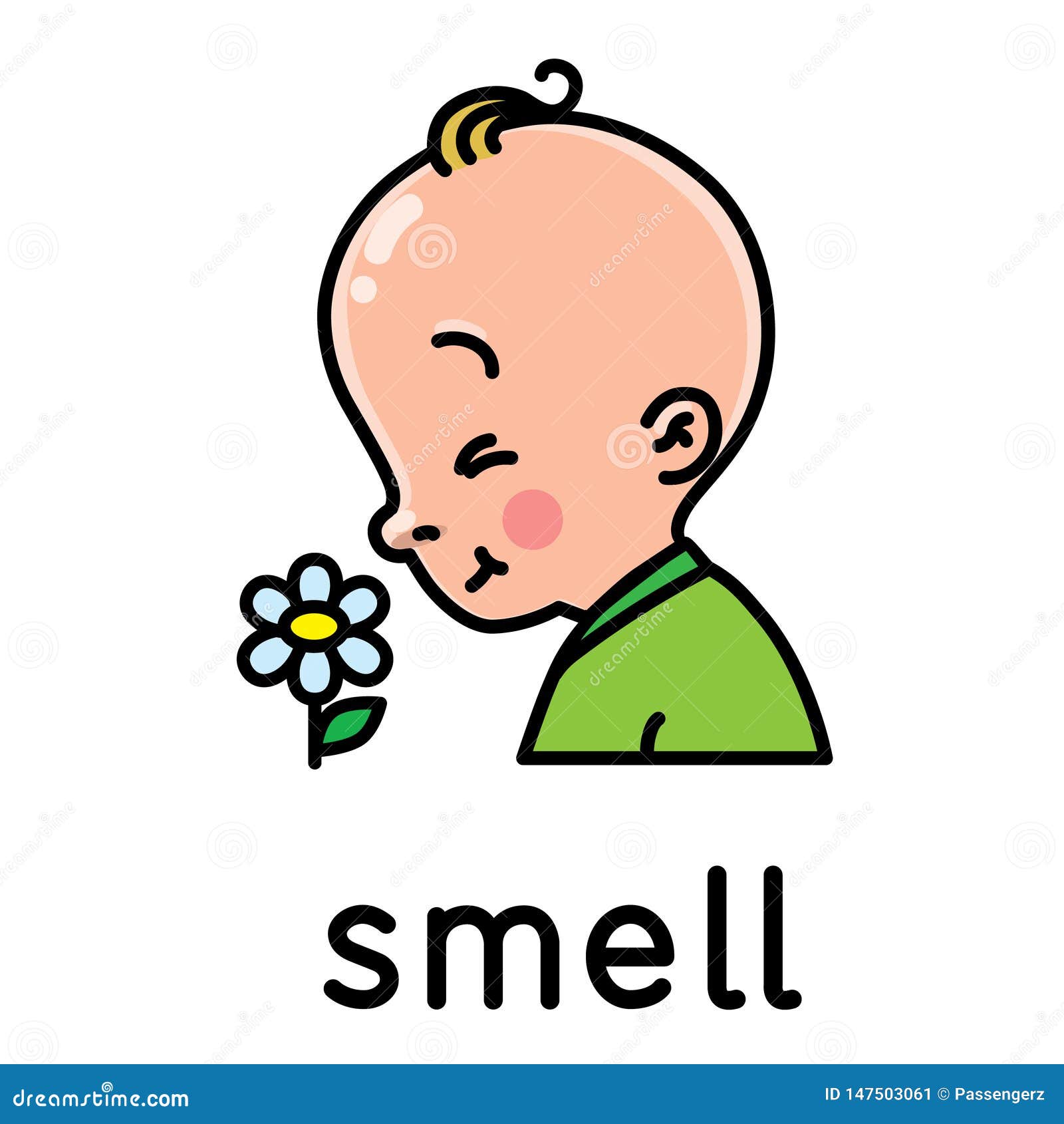 Smell Smell