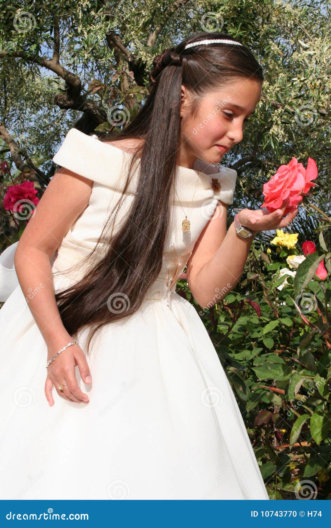 Smelling stock photo. Image of brown, dark, fragile, beautiful - 10743770