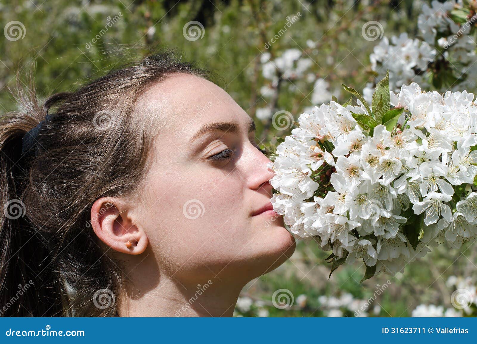 Smelling stock image. Image of pretty, sensual, field - 31623711
