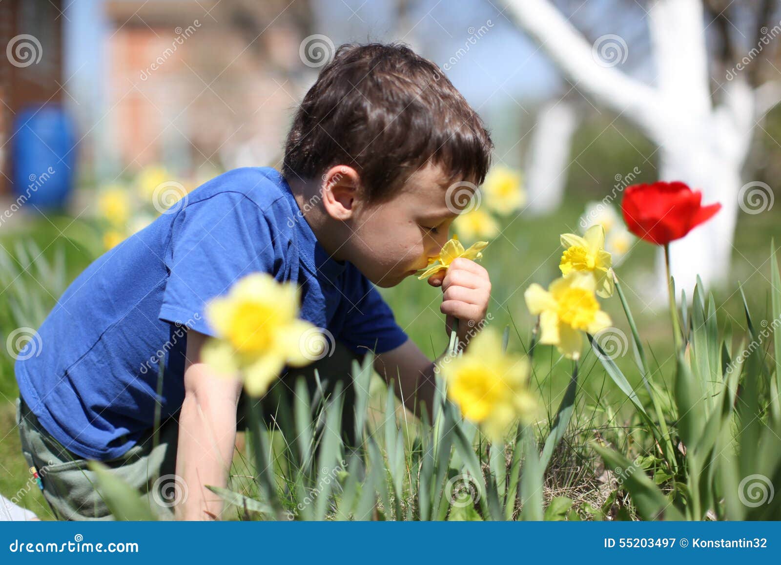 Smelling boy a flowers stock image. Image of cheerful - 55203497