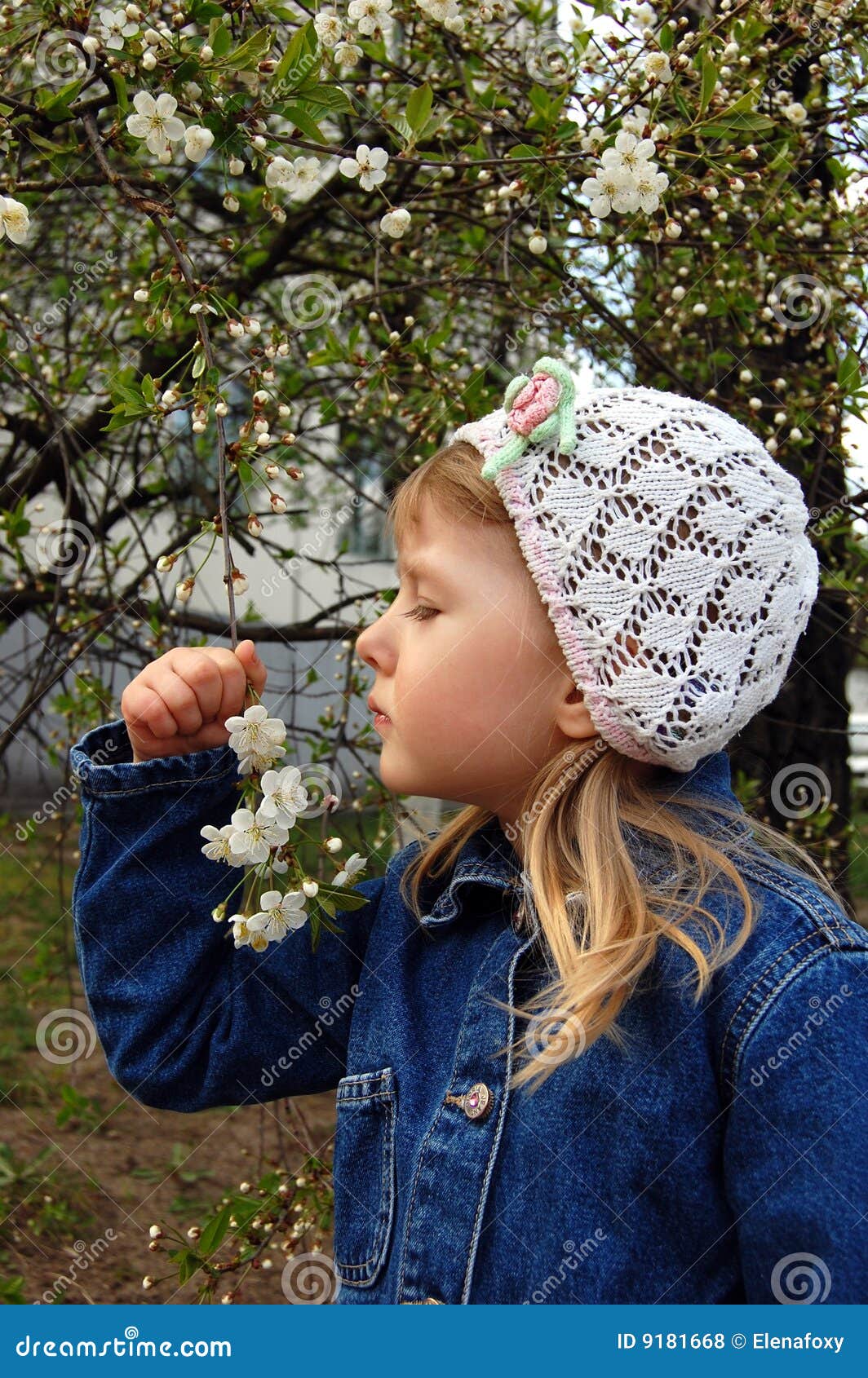 Smelling a cherry stock photo. Image of aroma, flower - 9181668