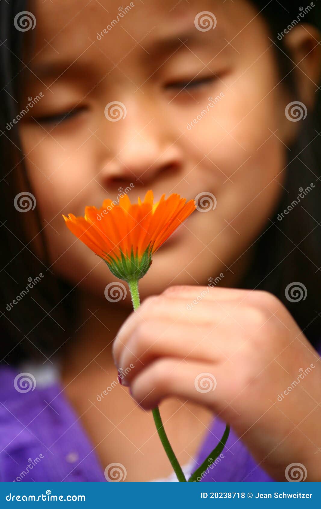 Smelling a flower stock photo. Image of child, flower - 20238718