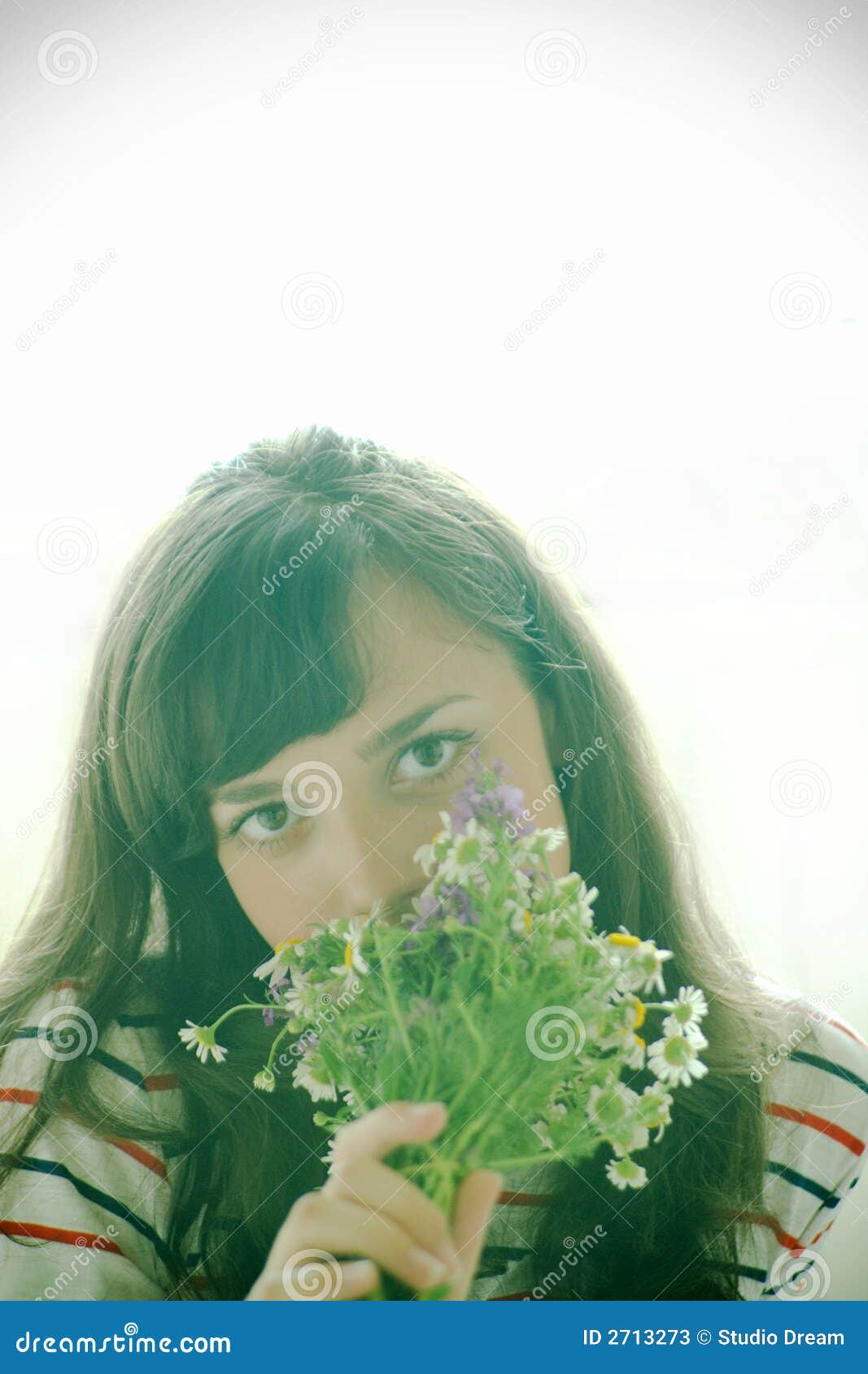 Smelling the flowers stock image. Image of holding, bunch - 2713273